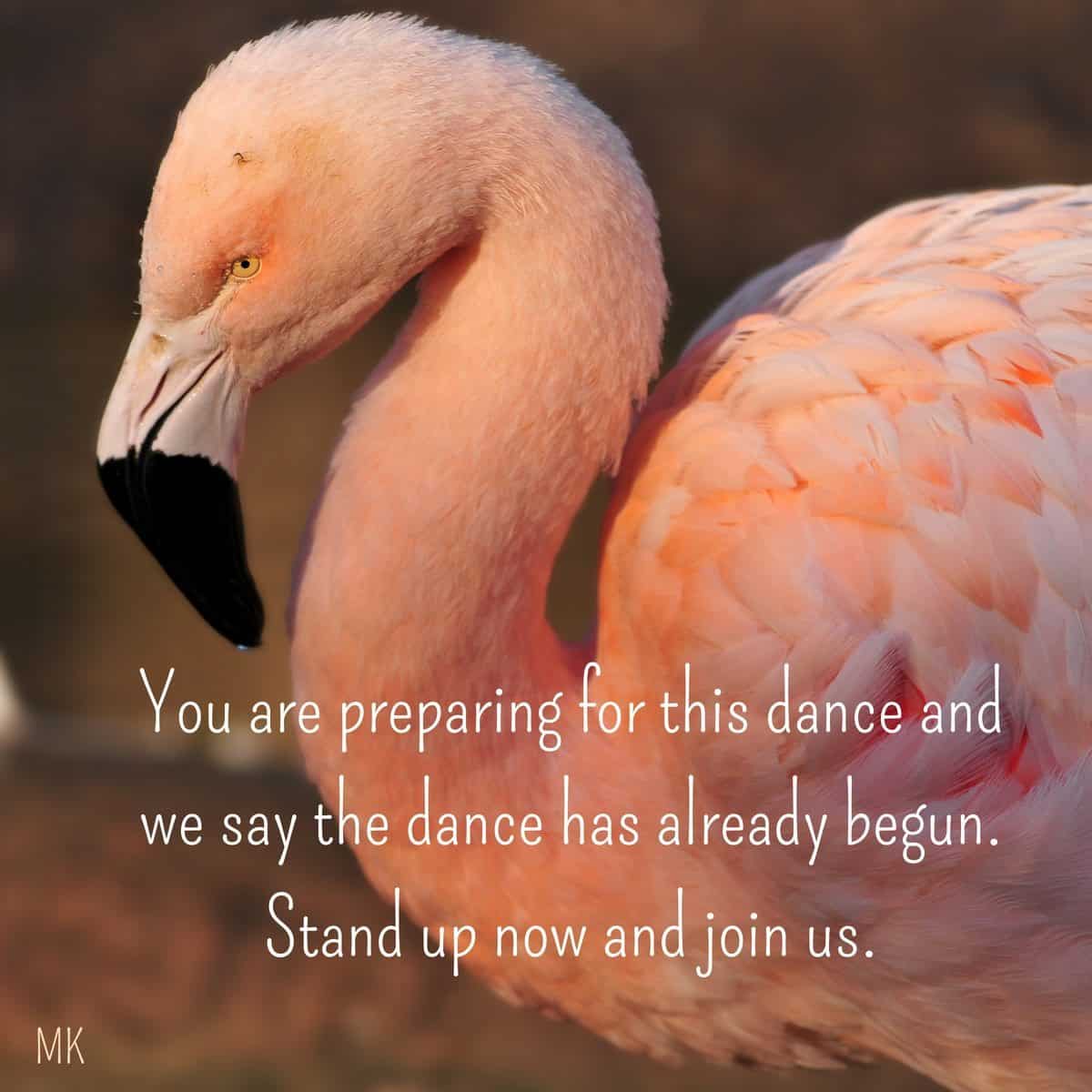 The dance has already begun - Marci Kobayashi