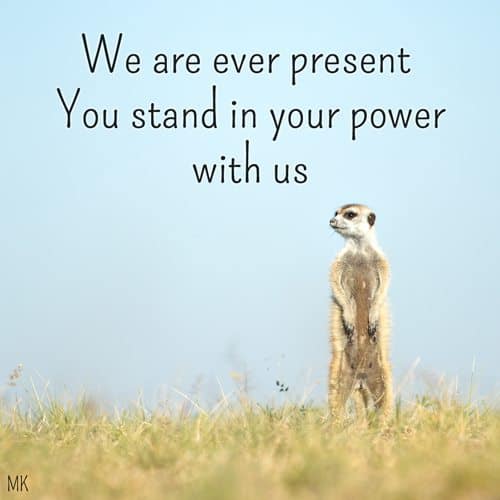 We are ever present. You stand in your power with us. - Marci Kobayashi